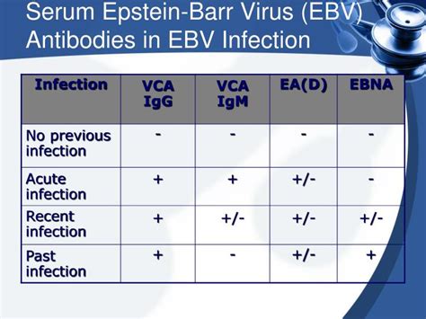Epstein Barr Virus Antibody Panel Explained At Linda Siddiqui Blog