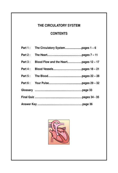 Circulatory System The Daviesandjohnson