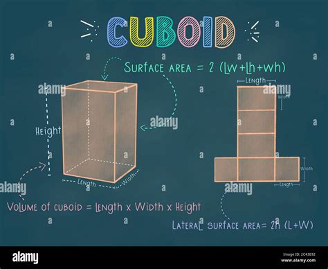 Cuboid Net