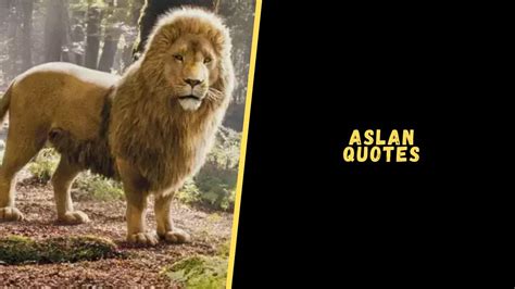 Top 20 Powerful Quotes From Aslan For Motivation Upgrading Oneself