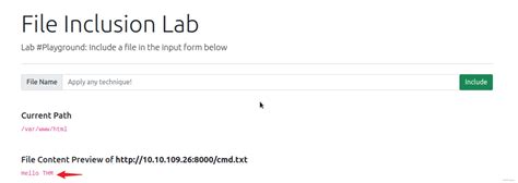 tryhackme file inclusion练习 lfi vm thm f8c5b1a78692 csdn博客