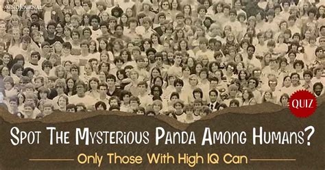 Panda Optical Illusion Spot The Hidden Panda In 10 Seconds