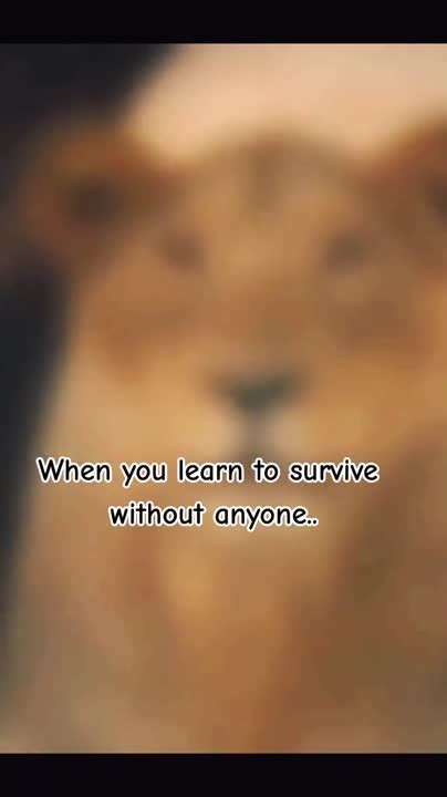 Video Adnan Razzaq Posted On Linkedin