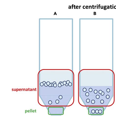 Volumetric Mass Density Dynamic Viscosity Osmolality And Ph Of