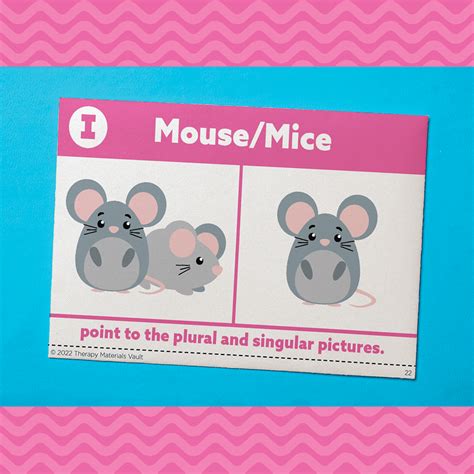 Regular Vs Irregular Plural Noun Practice Pack Tmv