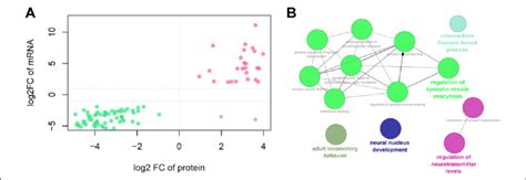 Association Analysis Of Proteome And Transcriptome A And Cluego