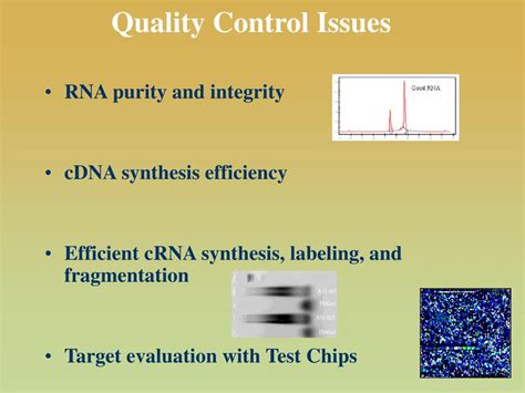 Ppt Overview Of Affymetrix Genechip Technology Powerpoint Presentation Id902539
