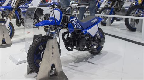 Best Mini Bike Brands For New Riders According To Owners