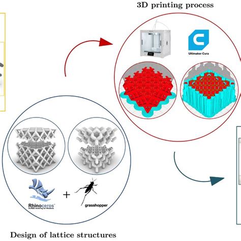 Workflow Illustrating The Sequence Of The Different Phases And The Download Scientific Diagram