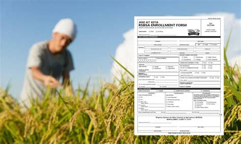 Rsbsa Enrollment Form Ginagamit Umano Ng Ilang Kapitan Sa Pamumulitika