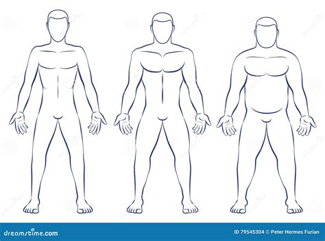Body Types Ectomorph Mesomorph Endomorph Stock Vector Illustration Of