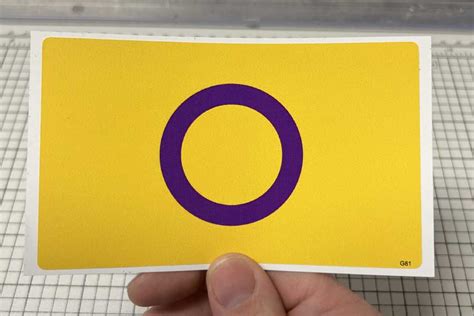 Intersex Pride Flag Bumper Sticker Car Magnet Lgbtq Humper Bumper