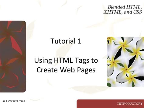 Xhtml Tutorial