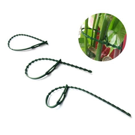 Multipurpose Green Tree Binding Vine Plastic Fixation Garden Binding