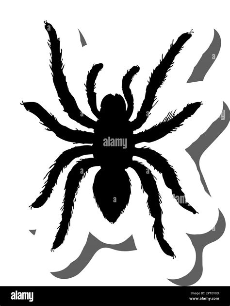 Halloween Spider Sticker Stock Vector Image And Art Alamy