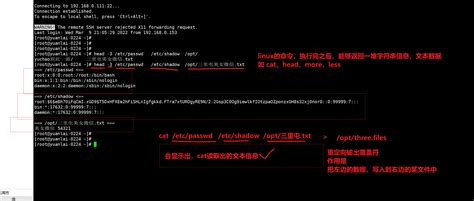 Day10管道符与grep与find 凫弥 博客园