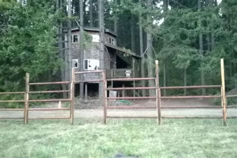 Tranquil A Tree Treehouse Lothlorien Woods