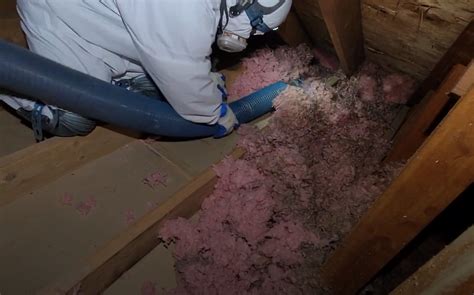 5 Signs You Need To Replace Or Remove Attic Insulation Today