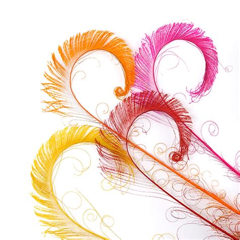 Peacock Sword Bleach Fiesta Mix Dyed Feathers 40 Inches Craft