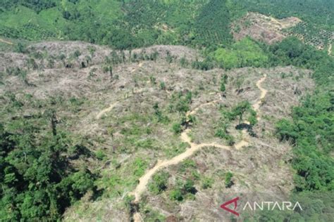 Kph Mukomuko Minta Perusahaan Pt Agro Muko Keluar Dari Hutan Antara News Bengkulu
