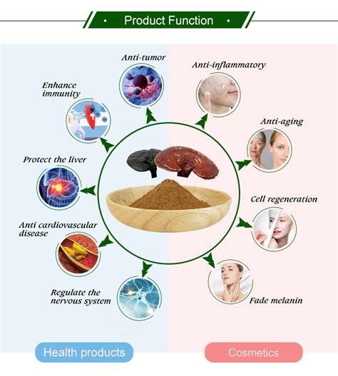 Ganoderma Lucidum Polysaccharide