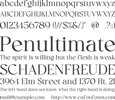 Runtime Font Download Free For Desktop And Webfont