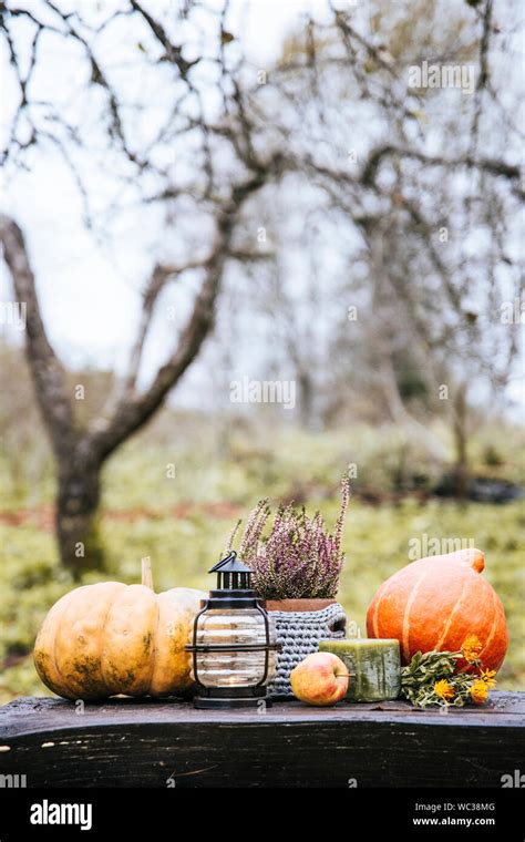 Autumn Wallpaper With Pumpkins And Apples