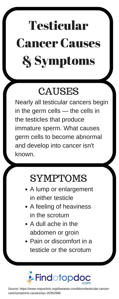 What Are The Symptoms Of Testicular Cancer Findatopdoc