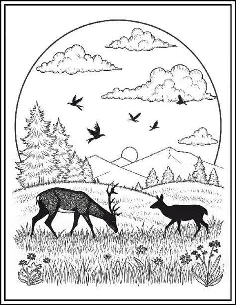 Posters Of Nature Beautiful Coloring Pages Featuring Scenic Landscapes
