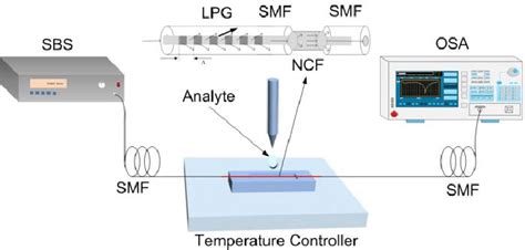 Experimental Setup Of The Biosensor Download Scientific Diagram