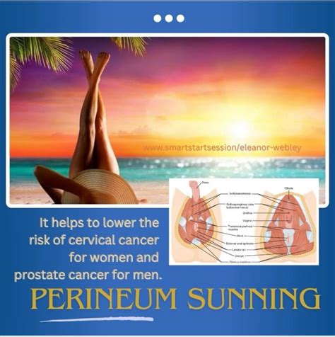 While Perineal Sunning Is Frowned Upon By Many Hoas It Is