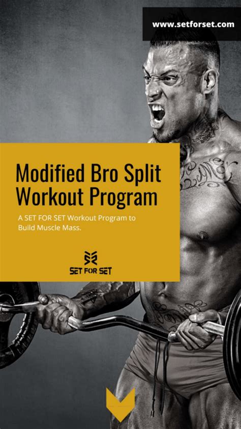 Modified Bro Split Workout Program