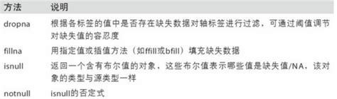 Python Pandas笔记整理isnullany Csdn博客