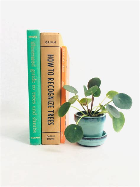 Midcentury Lot Of Tree Identification Books Vintage Tree Books