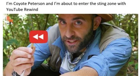 I'm Coyote Peterson and I'm about to enter the sting zone with YouTube Rewind - iFunny