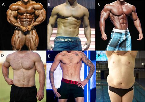 Ottermode Body Type