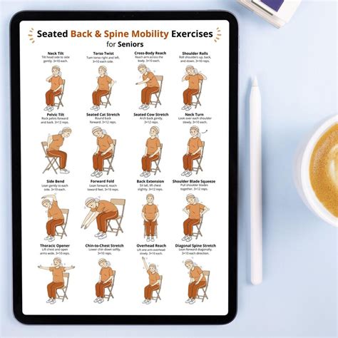 Seated Back And Spine Exercises For Seniors Chair Stretch For Older