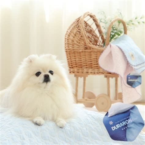 강아지 고양이 쿨매트 듀라론 냉감 패드 여름 이불 방석 블랭킷 페오펫몰