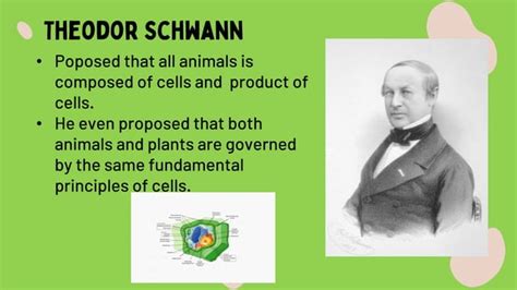 Cell Theorypptx Free Download