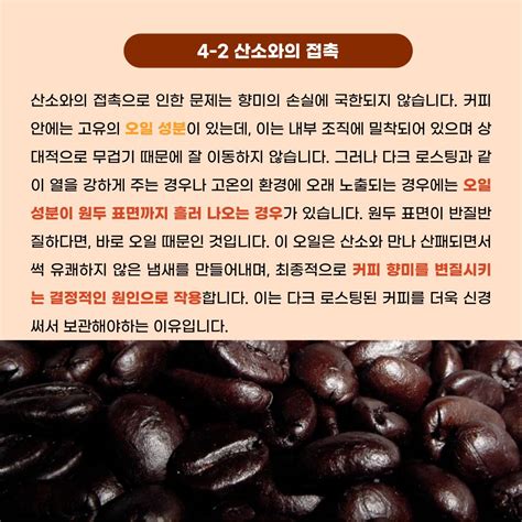 커잘알 프로젝트 5 커피 원두의 보관과 소비기한 인스티즈instiz 인티포털 카테고리