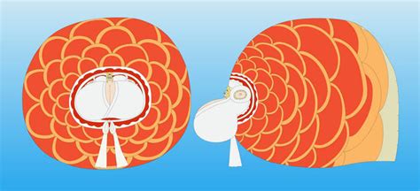 Explore The Best Superblimp Art Deviantart