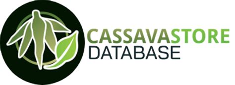 Cassava Store