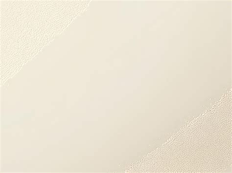 30000 Elegant Ivory Background Pictures