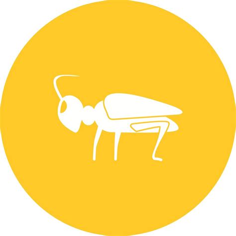 Grasshopper Icon At Collection Of Grasshopper Icon