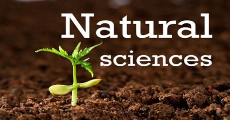 What Is Natural Science And Its Branches