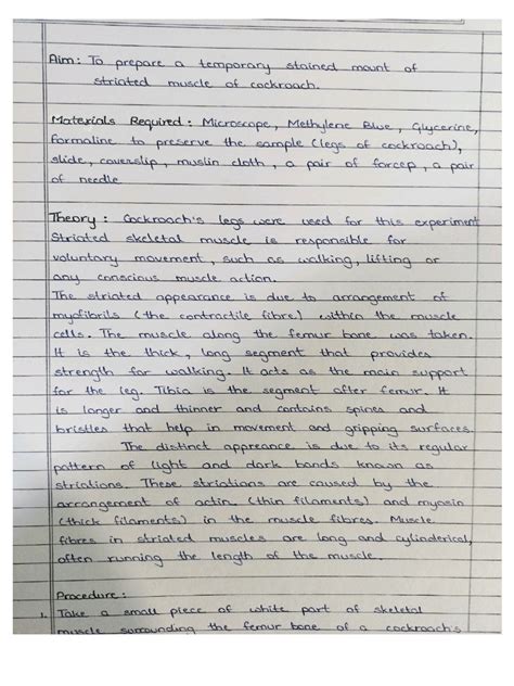 Cockroach Muscle Pdf