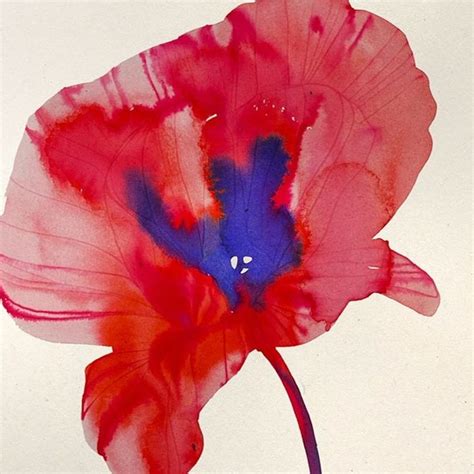 Stina Persson Stinaperssonillustration • Instagram Photos And