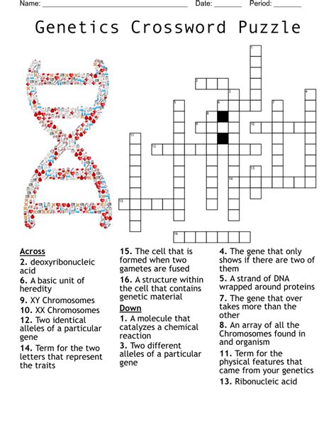Genetics Crossword Puzzle Wordmint Genetics Crossword Puzzle Wordmint