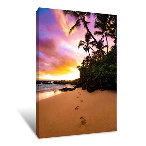 Footprints In The Sand Canvas Print