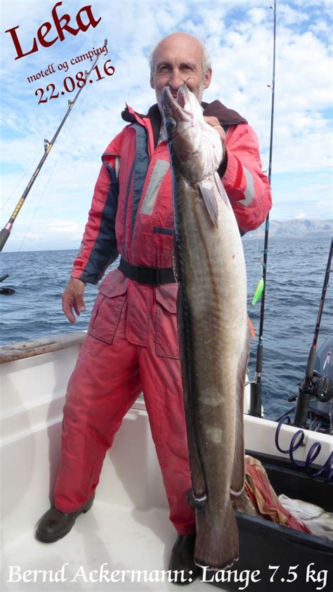 Bernd Ackermann Leka Motell Og Camping